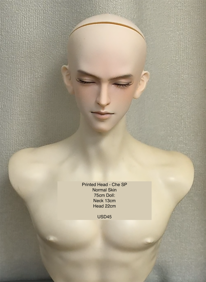 Inazuma Doll - Painted Head Collection – Space Studio BJD
