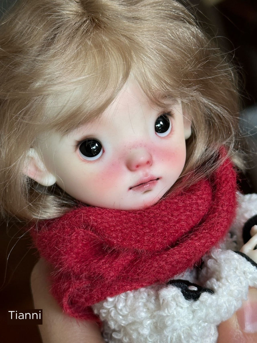 Honey Honey Dolls - Tianni & Boni – Space Studio BJD